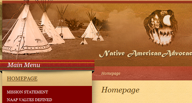 Native American Advocacy Program